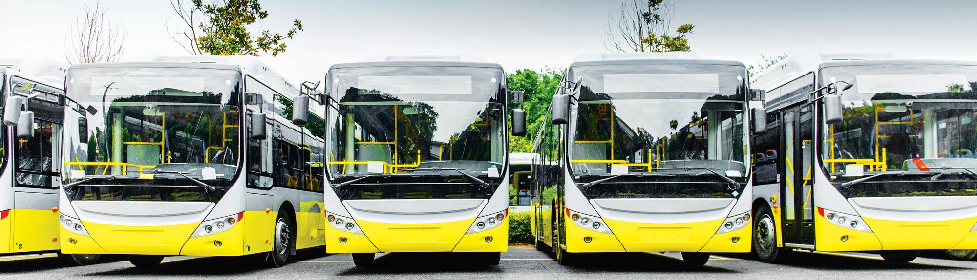 The United States Can Become A World Leader In Electric Transportation